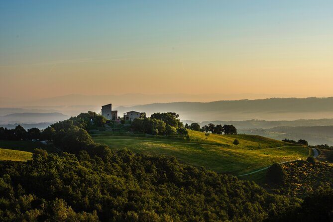 Wine Experience at Torre Bisenzio Winery - Breaking Down the Itinerary