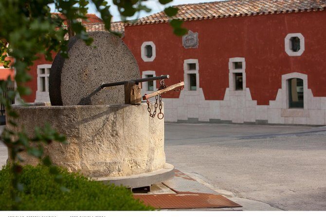 Wine experience in a local winery - Departure from Cagliari - Key Points