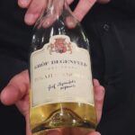 Wine & Food Tasting Cruise on the Danube - Who Will Love This Tour?