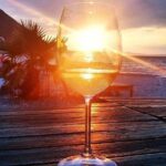 WINE KINGDOM PELJESAC from Dubrovnik - The Experience and Its Highlights