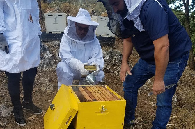 Wine, Olive Oil, and Honey Tour with Winemaker - Key Points