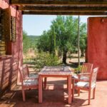 WIne & Olive Oil Tasting in an Organic Farm in Laconia, Greece! - The Wine Journey