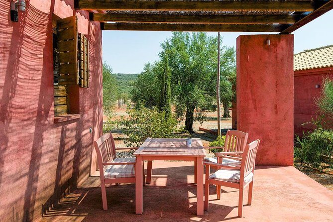 WIne & Olive Oil Tasting in an Organic Farm in Laconia, Greece! - The Wine Journey
