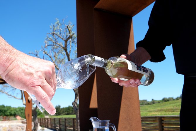 Wine Tasting and Art Tour - An In-Depth Look at the Wine Tasting and Art Tour in Portimao