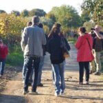 Wine Tasting and Guided Visit to the Vineyard and Cellar in S. Maria Imbaro - The Setting and Atmosphere