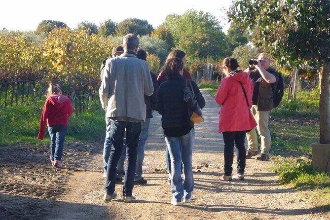 Wine Tasting and Guided Visit to the Vineyard and Cellar in S. Maria Imbaro - The Setting and Atmosphere
