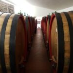 Wine tasting and horseback riding in Montepulciano, in Tuscany from Rome - What’s Included — and What’s Not
