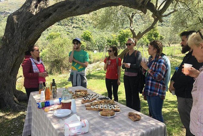 Wine tasting and Olive Oil in Tirana Surroundings - The Experience — What You Can Expect