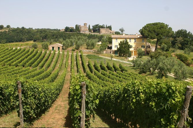Wine Tasting and Winery tour - Exploring the Madonna del Latte Winery Tour