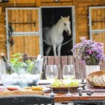 Wine tasting at Quinta das Murgas - The Value of the Experience