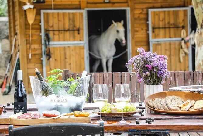 Wine tasting at Quinta das Murgas - The Value of the Experience