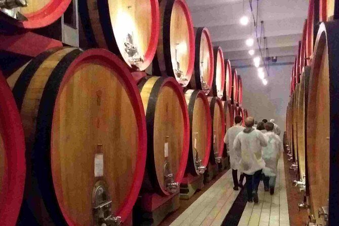 Wine Tasting, Dinner and Cooking Class Under the Sunset - The Overall Experience: Price, Duration, and Value
