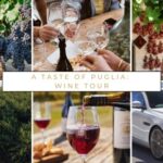 Wine tasting experience in the Apulian countryside! - The Experience: Comfort and Authenticity