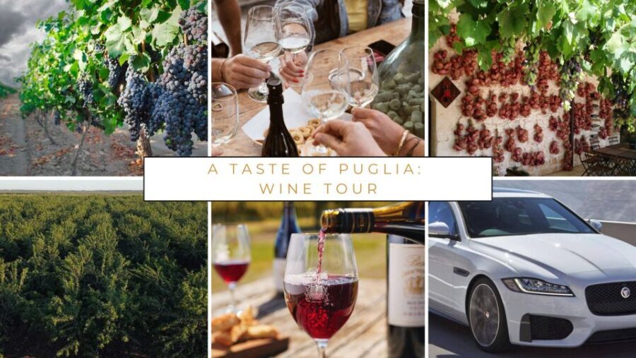 Wine tasting experience in the Apulian countryside! - The Experience: Comfort and Authenticity