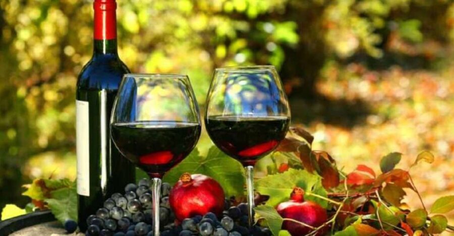 Wine Tasting Experience on the slopes of Vesuvius - Is It Worth the Price?