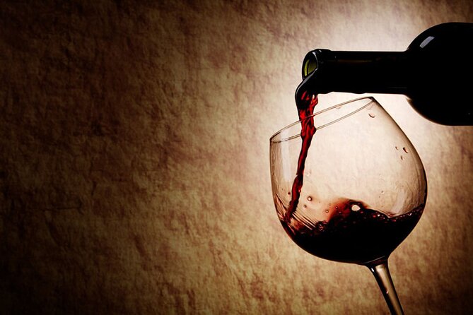 Wine Tasting in Madrid Experience - Why This Tour Is Worth Doing