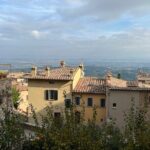 Wine Tasting in Montepulciano with Visit to the Vineyards Private Tour - The Details That Matter: What to Expect