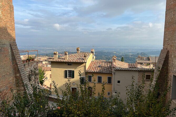 Wine Tasting in Montepulciano with Visit to the Vineyards Private Tour - The Details That Matter: What to Expect