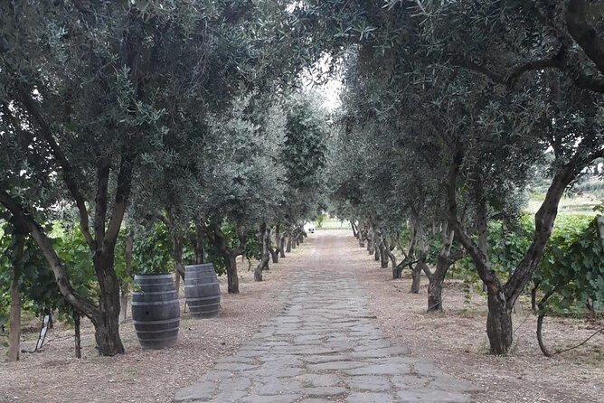 Wine tasting in Roman Countryside: 3-hour tour from Rome - Who Will Love This Experience?