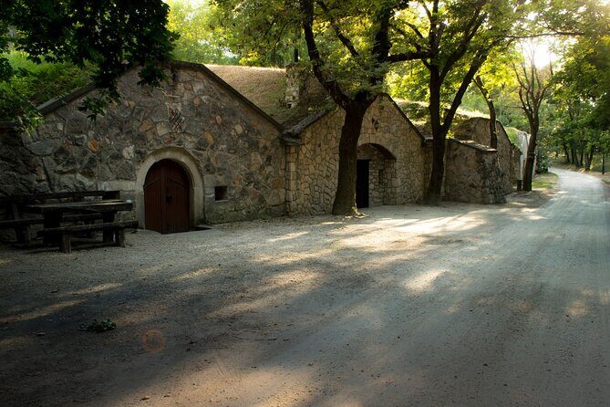 Wine Tasting in the Countryside from Budapest - Tasting Wines and Local Snacks