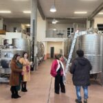 Wine Tasting in the South Slope of Etna - Key Points