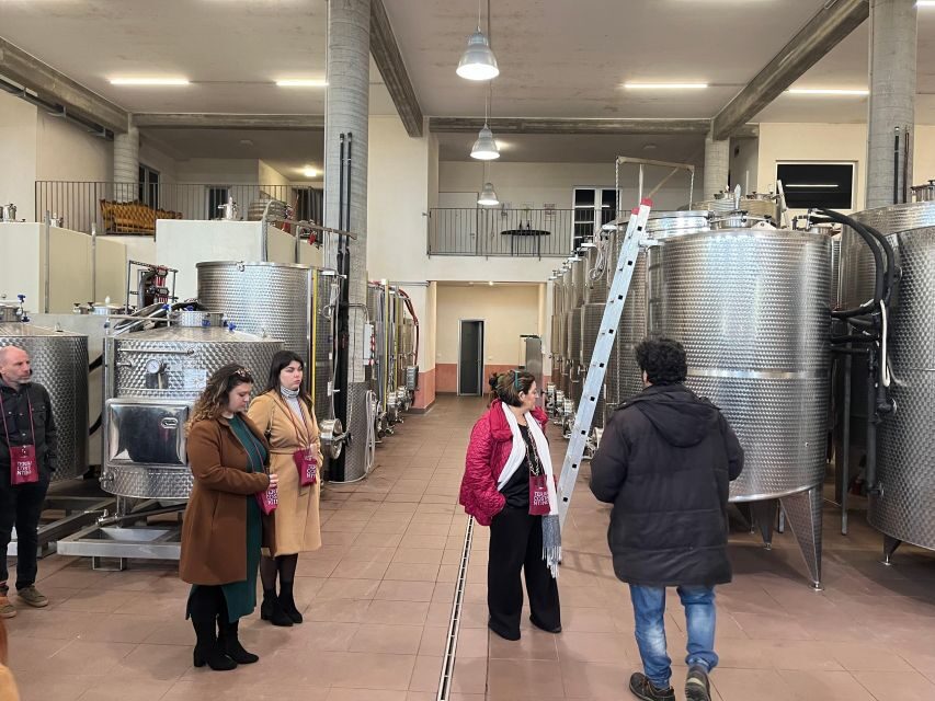 Wine Tasting in the South Slope of Etna - Key Points
