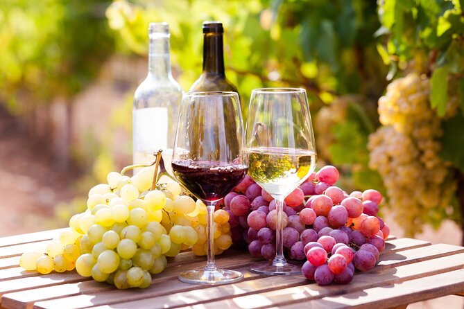 Wine tasting in the Vesuvius national park - A Detailed Look at the Wine Tasting Experience in Vesuvius National Park