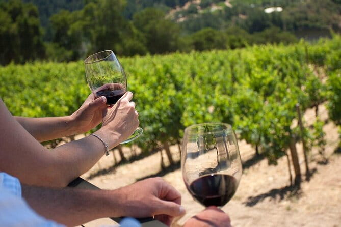 Wine tasting in TWO family wineries around Florence - Key Points