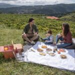 Wine Tasting & Lunch from Porto | Quinta de Santa Cristina - What Makes This Tour Stand Out?