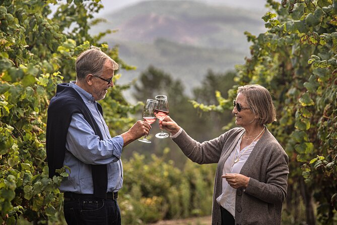 Wine Tasting & Lunch | Quinta de Santa Cristina Vinho Verde - An In-Depth Look at the Tour