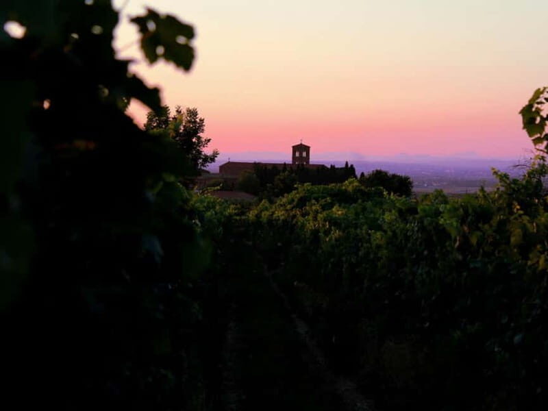 Wine Tasting & Medieval Town Visit at Castelli Romani - Who is This Tour Perfect For?