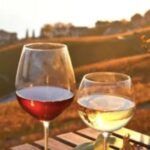 Wine Tasting - Private Half-Day Tour - What travelers are saying