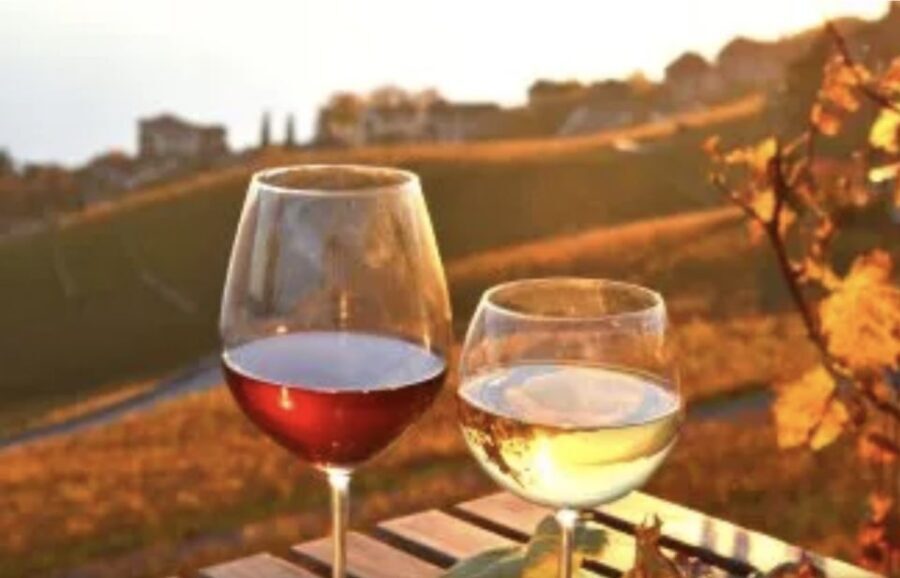 Wine Tasting - Private Half-Day Tour - What travelers are saying