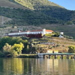 Wine Tasting QT textures of Rosé - Sunset vibe - Why This Tour Offers Great Value