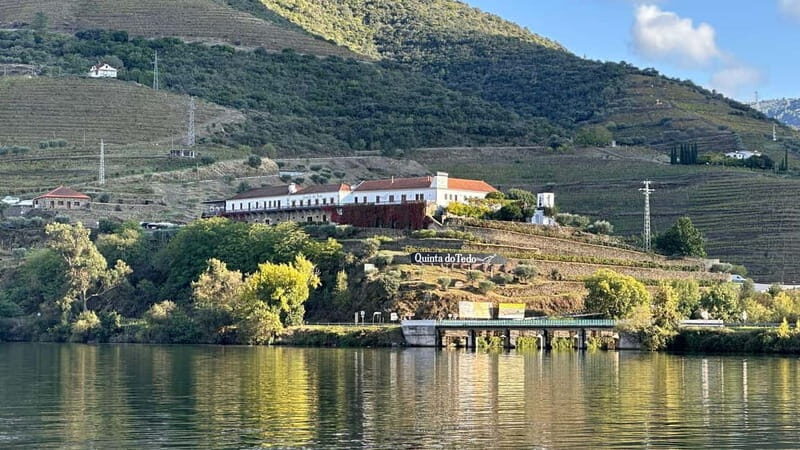 Wine Tasting QT textures of Rosé - Sunset vibe - Why This Tour Offers Great Value