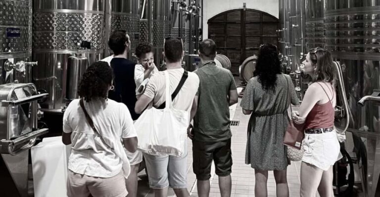 Wine Tasting Saint-Florent & Patrimonio - Who Will Enjoy This Tour?