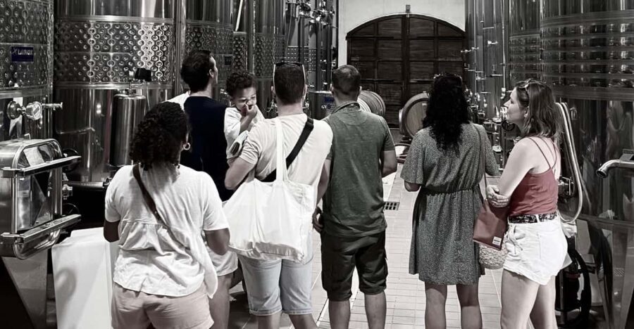 Wine Tasting Saint-Florent & Patrimonio - Who Will Enjoy This Tour?