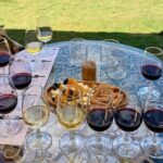 Wine Tasting Tour at Two Wineries in Urla Turkey - The Value and Practicalities