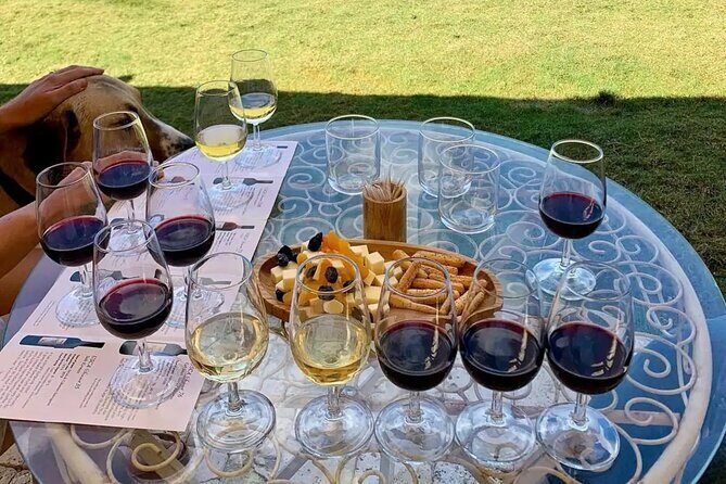 Wine Tasting Tour at Two Wineries in Urla Turkey - The Value and Practicalities