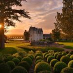 Wine tasting tour in Loire Valley with castle visits and lunch - The Bottom Line