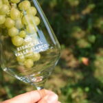 Wine Tasting Tour: Journey to South Tyrols Finest Wines - Why This Tour Offers Great Value