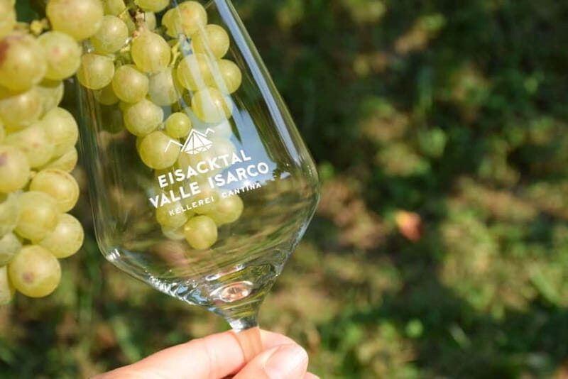 Wine Tasting Tour: Journey to South Tyrols Finest Wines - Why This Tour Offers Great Value