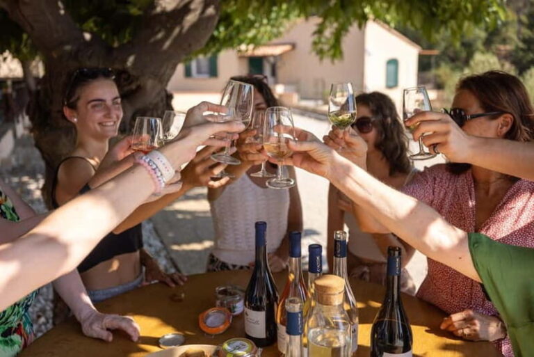 Wine tasting tour - Le Pradet - What to Expect: The Detailed Journey