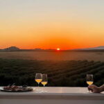 Wine tasting under the Stars in the vineyards of Agrigento - The winery visit and the vineyards by night