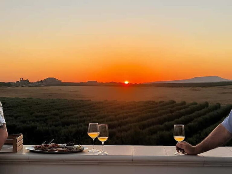 Wine tasting under the Stars in the vineyards of Agrigento - The winery visit and the vineyards by night