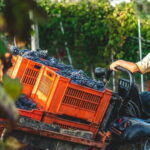 Wine Tasting & Vineyards Escape near Tirana - Who Would Love This Tour?