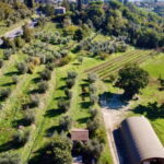Wine Tasting with Local Food near Montepulciano - An In-Depth Look at the Experience