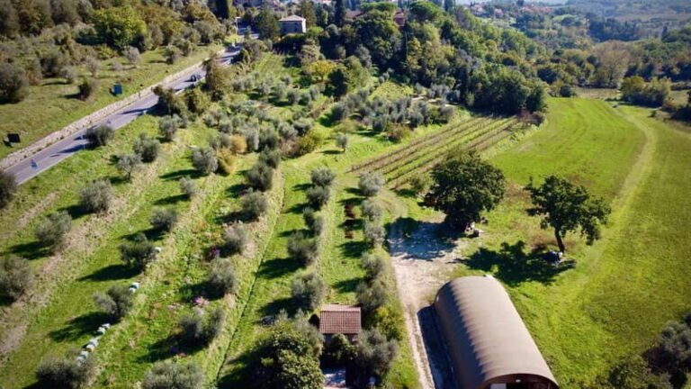 Wine Tasting with Local Food near Montepulciano - An In-Depth Look at the Experience