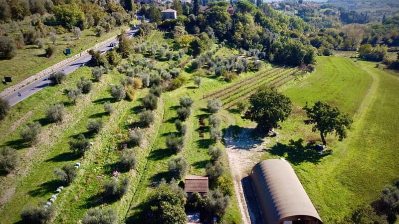 Wine Tasting with Local Food near Montepulciano - An In-Depth Look at the Experience