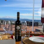 Wine Tasting with Local Food Pairing near Livorno - The Itinerary in Detail